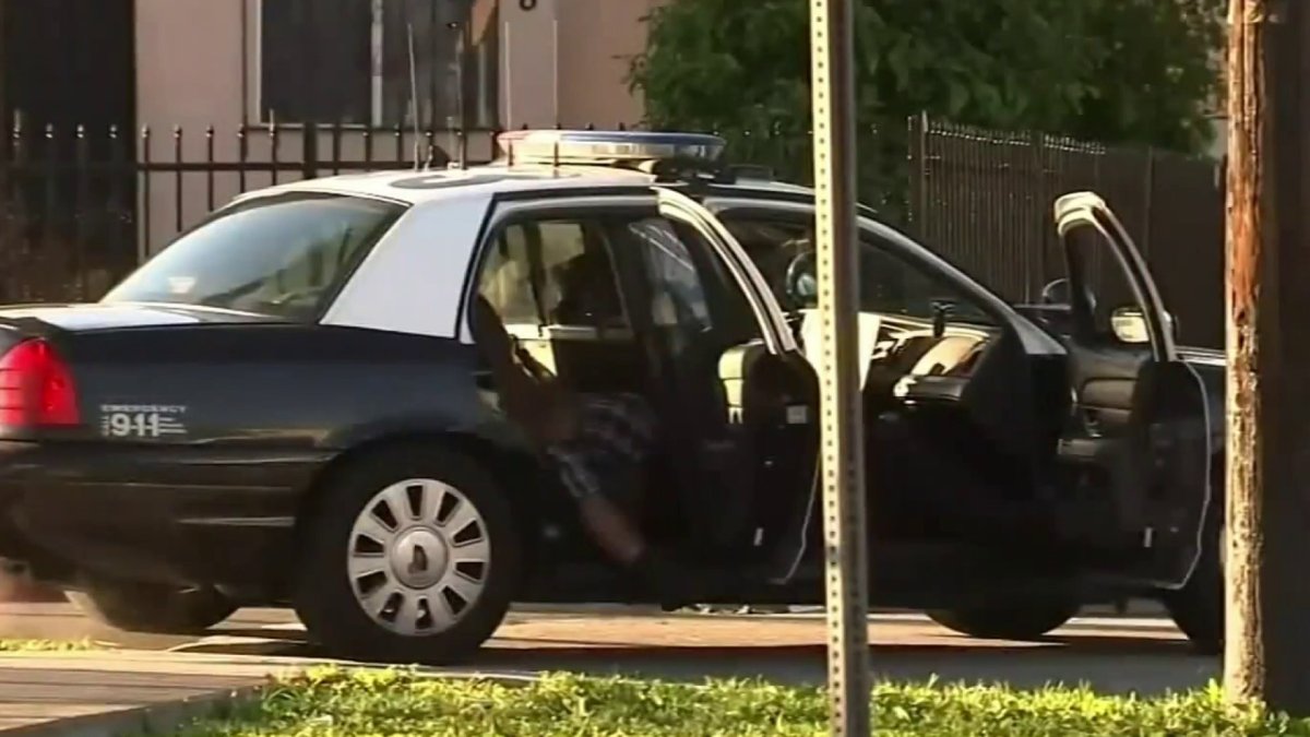 Buscan eliminar base de datos “Calgang” – Telemundo San Diego (20)