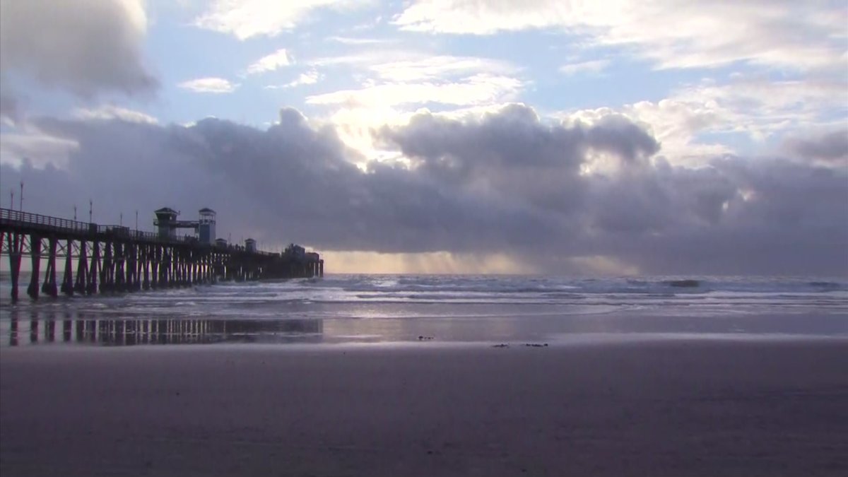 Avistamiento de tiburón cerca de Oceanside Pier – Telemundo San Diego (20)