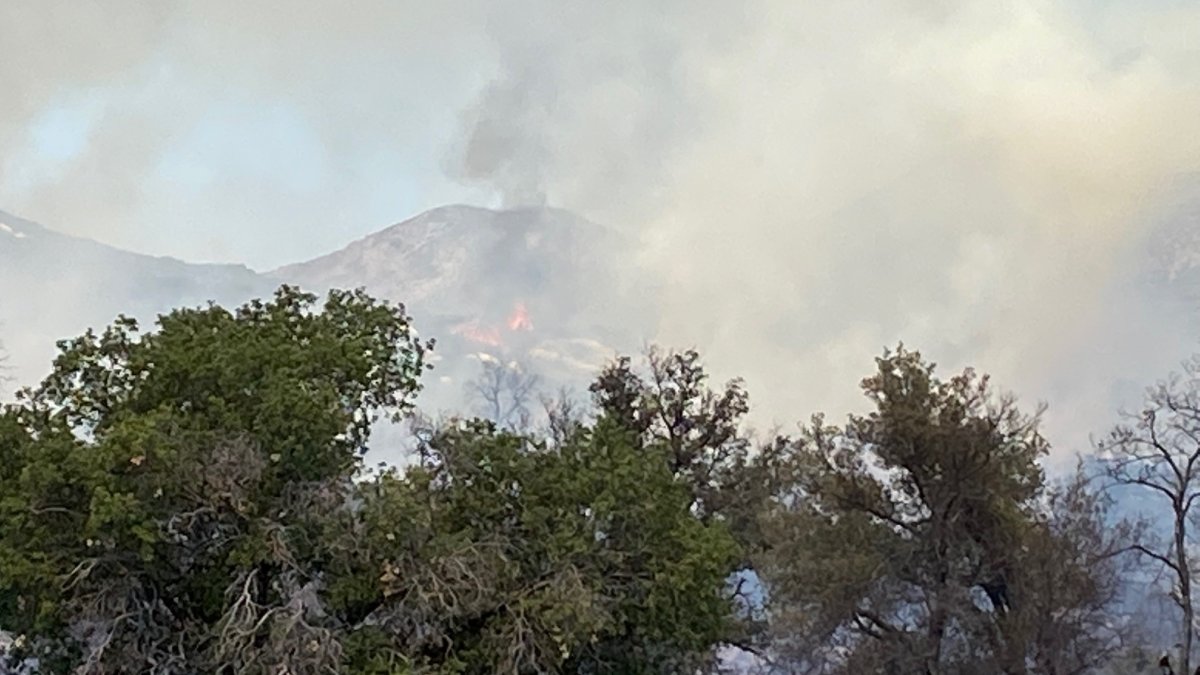 Bomberos combaten incendio forestal en Pine Valley cerca de Noble ...