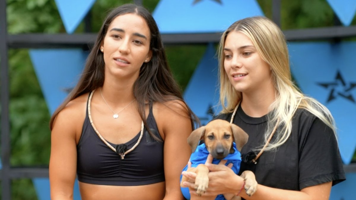 El equipo azul da en adopción a la perrita Blue en Exatlón Estados ...