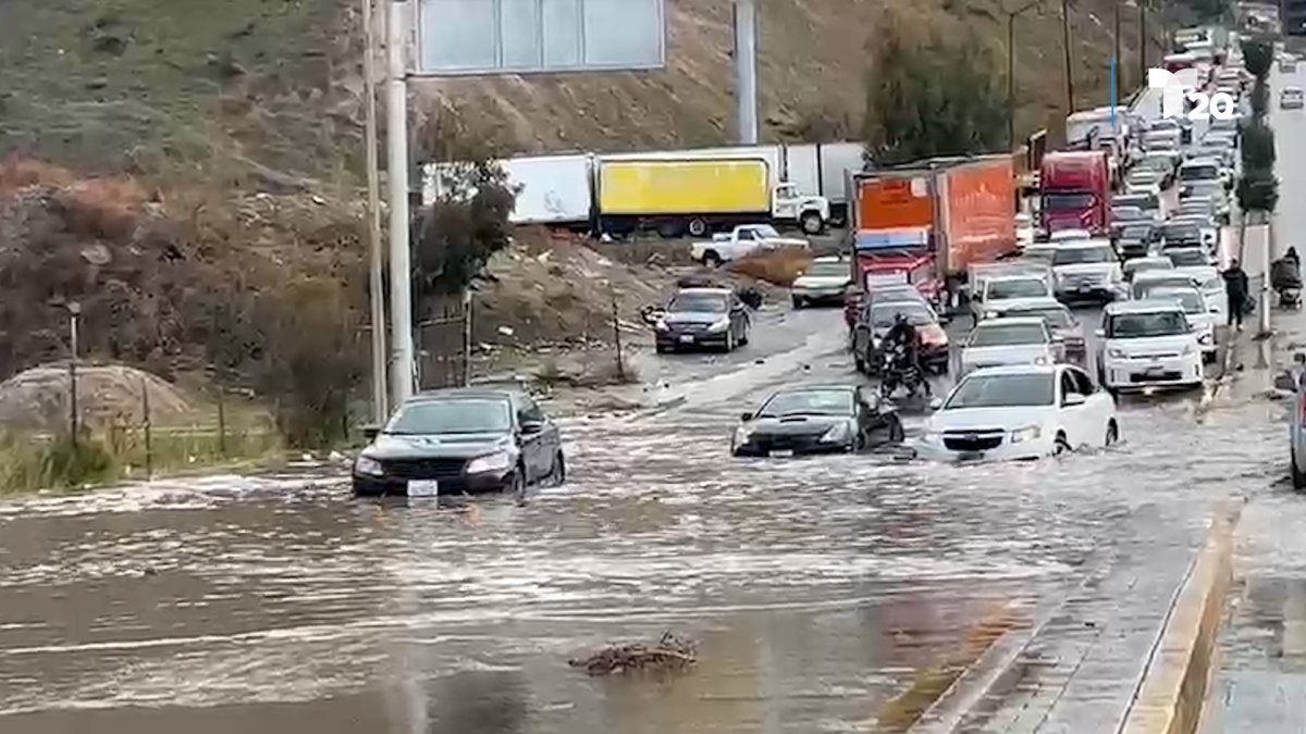 Lluvias en Tijuana causa tráfico vial tras caída de árboles y ...
