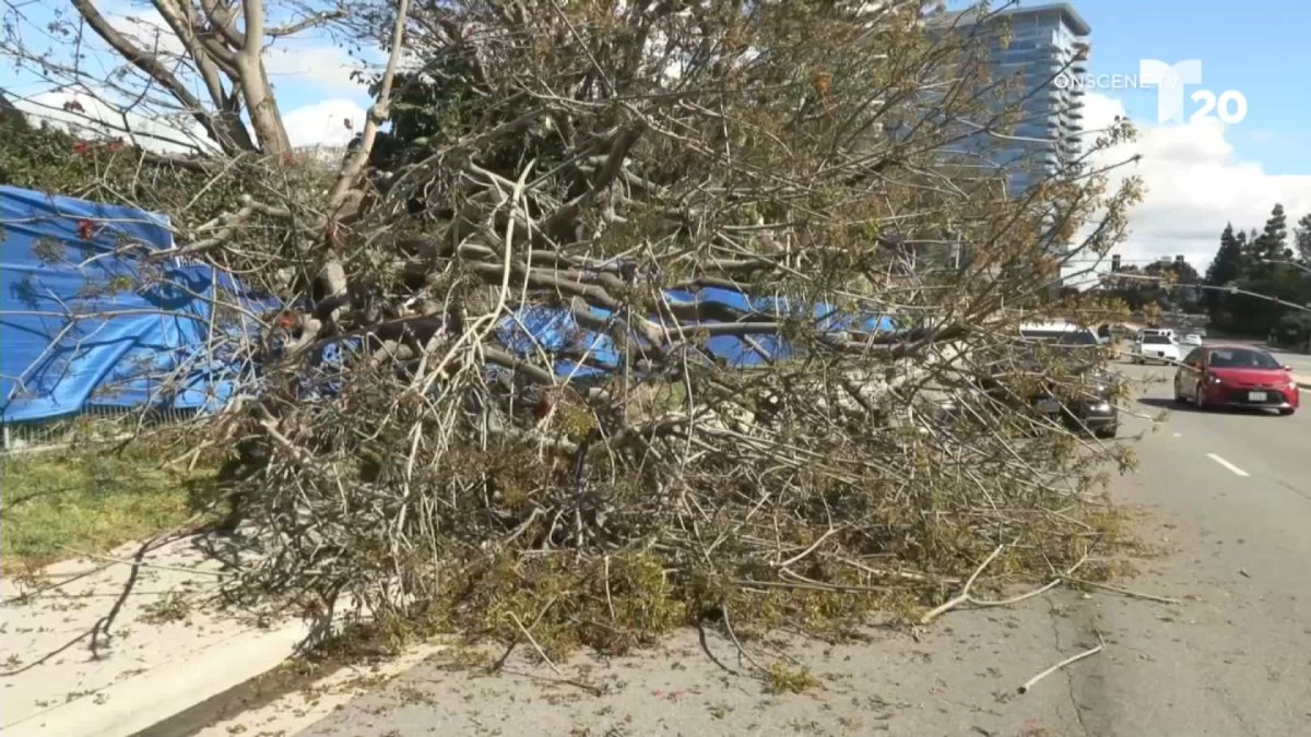 EN VIDEO: Noticiero Digital de TELEMUNDO 20 para San Diego: 27 de ...