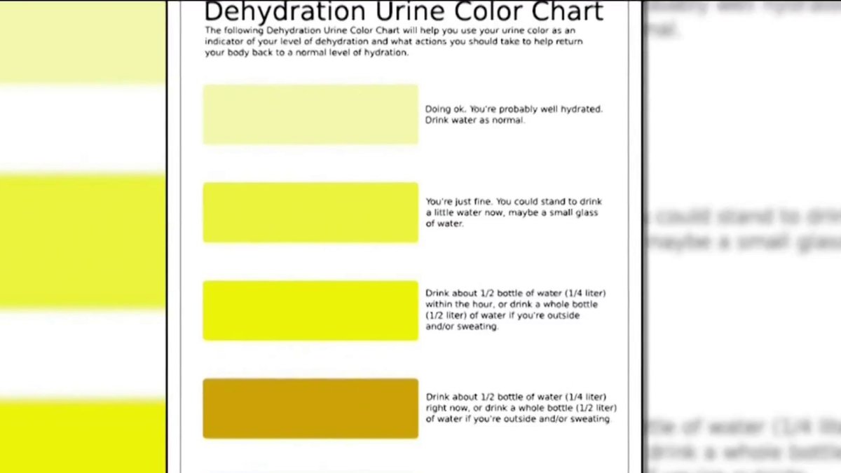 ¿De qué color es tu pipí?: identifica si necesitas hidratarte ...