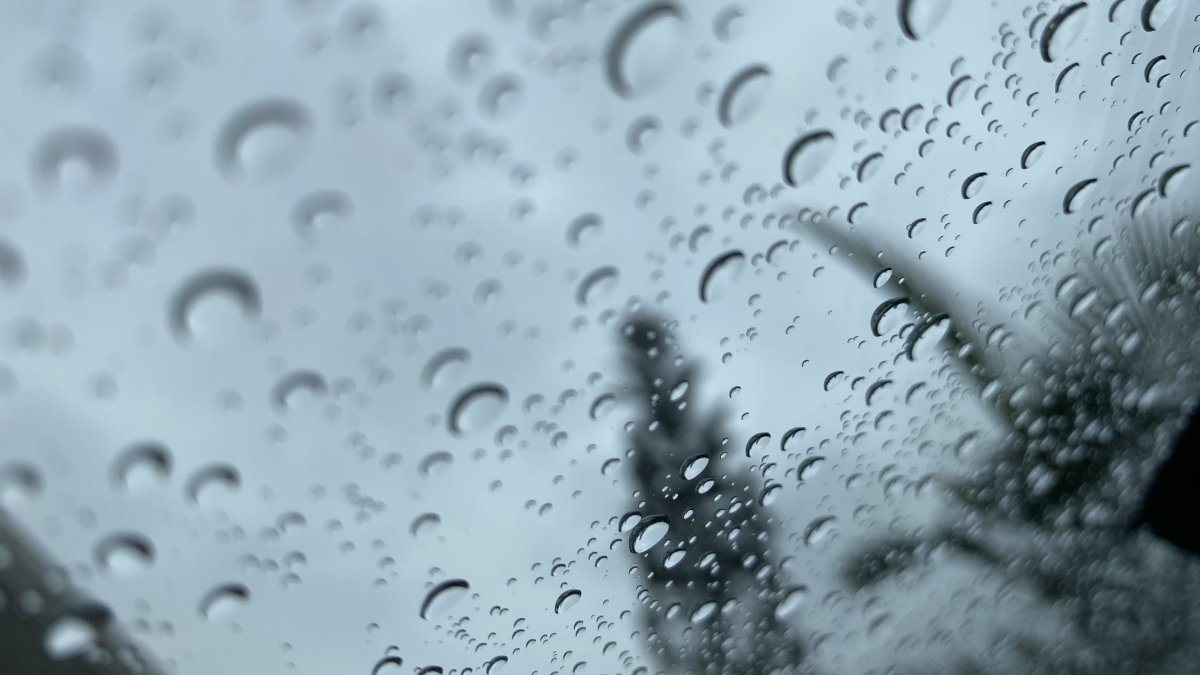 Cantidad de lluvia que cayó últimos dos días en San Diego – Telemundo ...