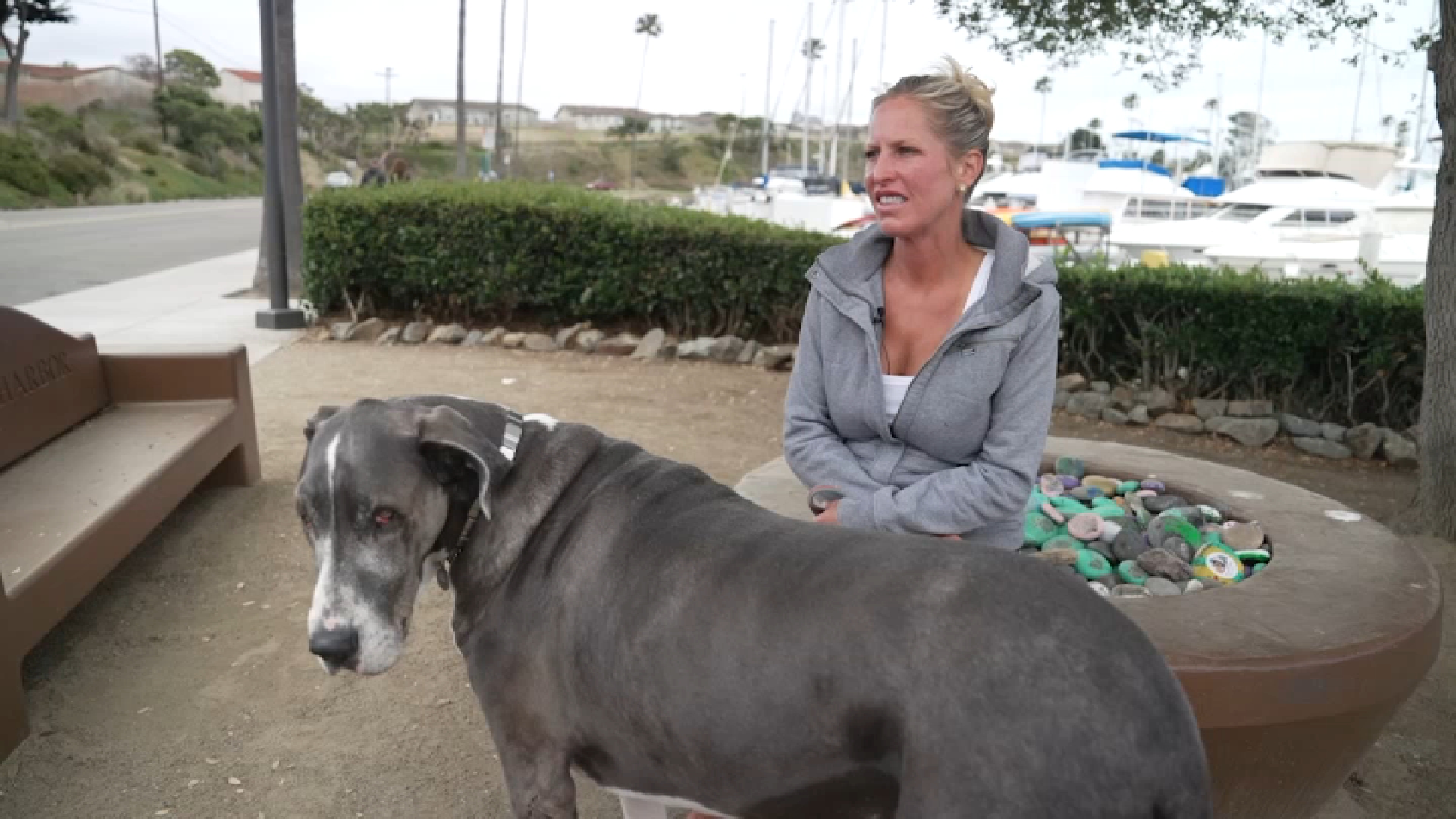 Mujer es víctima de una estafa echa con Inteligencia Artificial ...
