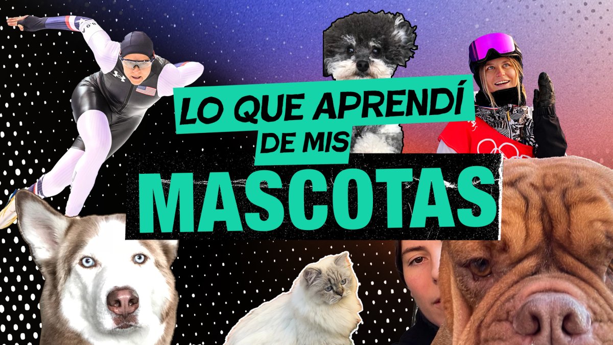 El equipo estadounidense comparte lecciones de vida de sus mascotas ...