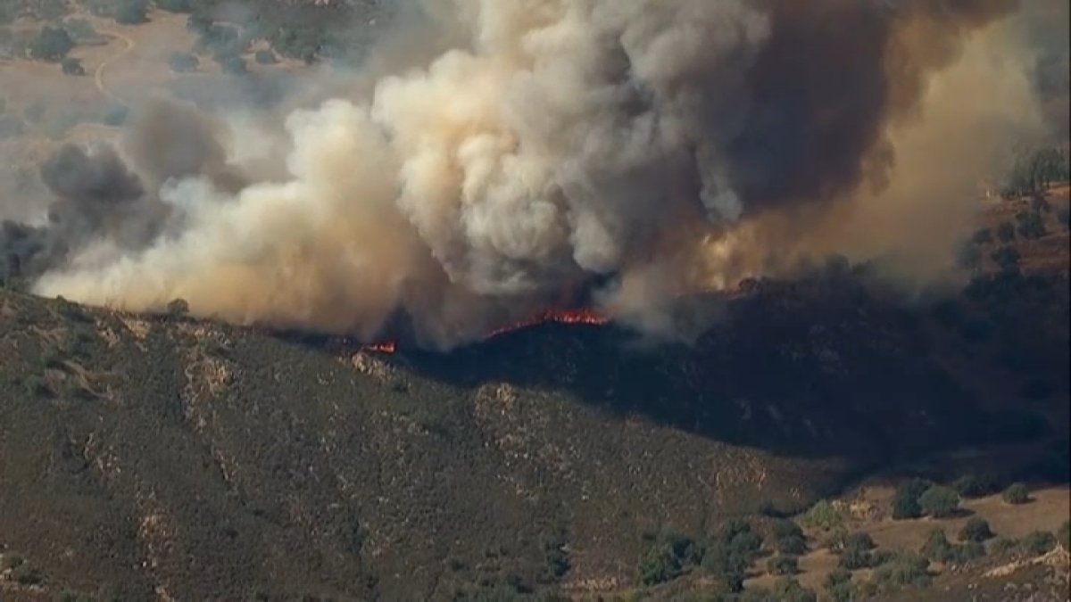 Incendio forestal se desata en Ramona cerca de la Carretera 78 ...