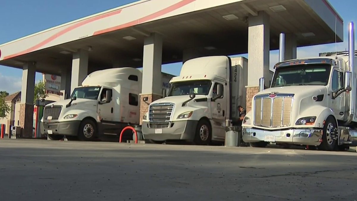 Miles de camioneros se quedan sin licencias de conducir – Telemundo San ...